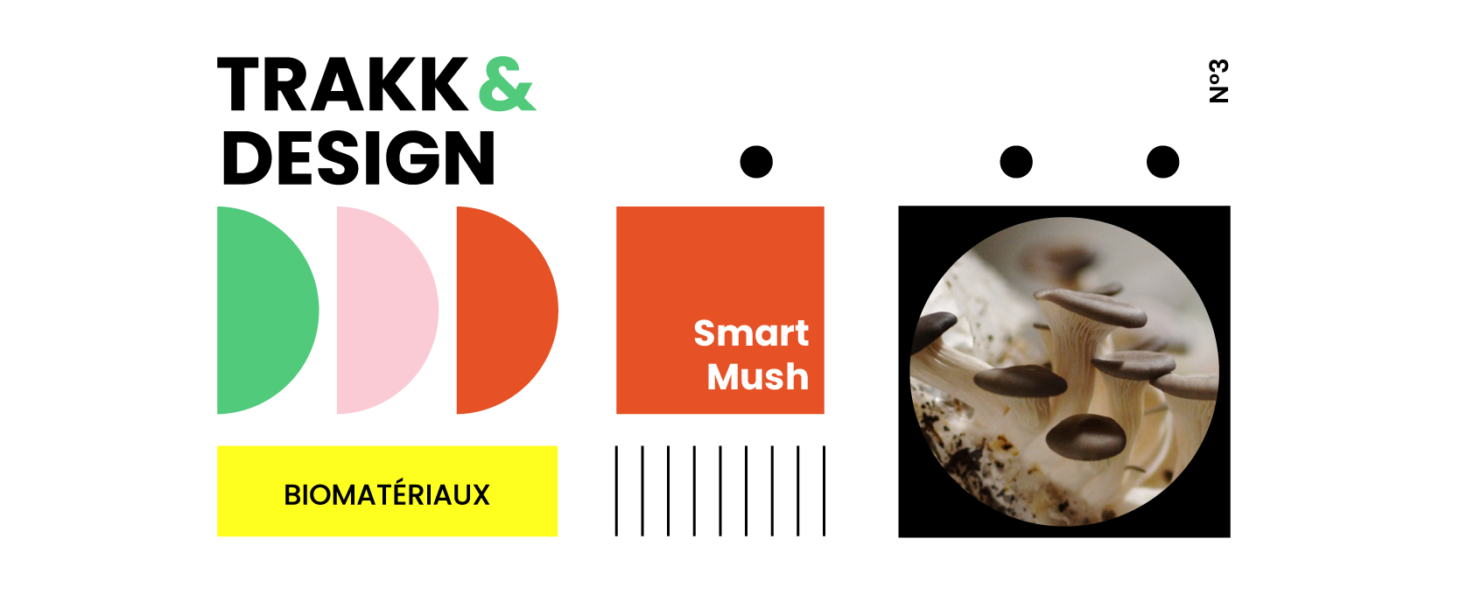 TRAKK & DESIGN – Masterclass Biomatériaux N°3 – LE MYCÉLIUM par ...